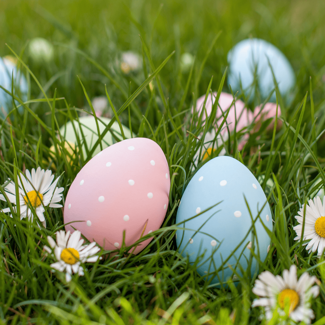 Welcome to The Eclectic Chic Boutique